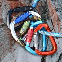 China Aluminum 30KN D Shape Climbing Snap Hook Customized Outdoor Carabiner for sale