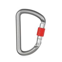China Aluminum D-Shaped Spring Snap Hook Climbing Carabiner for Outdoor Activities and Hiking for sale