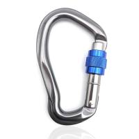 China Other Heavy Duty Customize Logo Climbing Carabiner Aluminum Alloy Snap Hook for sale