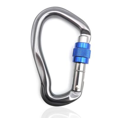 China Other Heavy Duty Customize Logo Climbing Carabiner Aluminum Alloy Snap Hook for sale