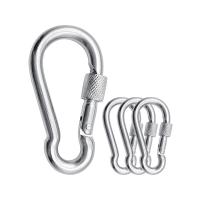 China Polished Finish Stainless Steel Carabiner Spring Snap Hook with Eyelet and Screw for sale