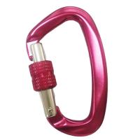 China Galvanized Hardware Aerospace Aluminum D-Shaped Carabiner Essential Gear for Climbing for sale