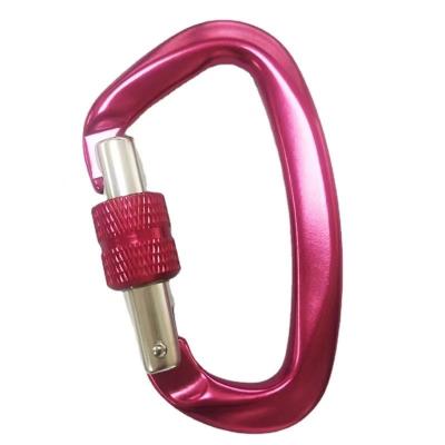 China Galvanized Hardware Aerospace Aluminum D-Shaped Carabiner Essential Gear for Climbing for sale