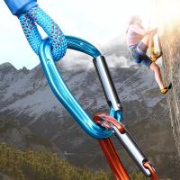 China OEM Heavy Duty 23KN Snap Hook D Shape 7075 Aluminum Carabiner Clip for Climbing for sale