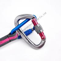 China Mountaineering and High Altitude Rescue D Shape Screw Lock Carabiner with ZINC Finish for sale