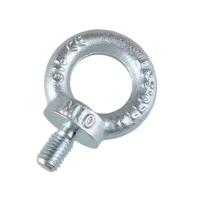 China ZINC Finish Carbon Steel Eye Nut Ring for Heavy Duty Lifting and Rigging Solutions for sale