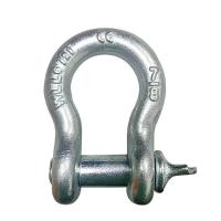 China High Strength Carbon Steel G209 Bow Shackle Lifting With Galvanized Finish for sale