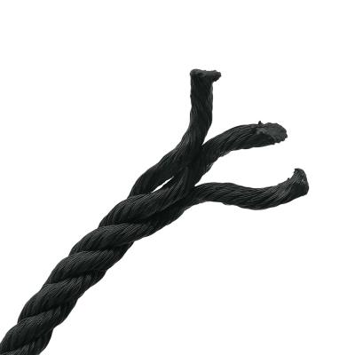 China PE Steel Grade 3-Strand Black Color Polyethylene Rope for Other Processing Service within 18mm for sale