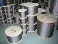 China Steel Cable Ropes Wire Stainless Rope 6x19 PP Core Inox Cable A2 A4 SUS 304 Tolerance ±1% Polished Exporter for sale