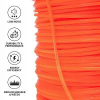 China Professional Brush Cutters Nylon Trimmer Line for Over Grown Grass Blister for sale