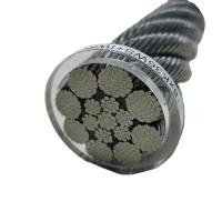 China 7X7 7x19 SS316 Stainless Steel Wire Rope Cable with High Strength and Corrosion Resistance for Various Applications for sale