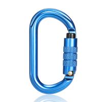 China Outdoor Rock Climbing Indoor Leisure Aluminum Alloy Safety Screw Lock Carabiner for sale