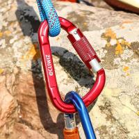 China Wholesale 20kN Outdoor Carabiner Clip Customized Logo and Color Aluminum Rock Round Shaped Auto-Lock Carabiner for sale