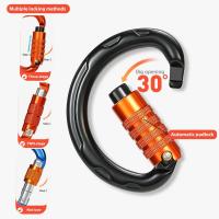 China Wholesale 20kN Outdoor Carabiner Clip Customized Logo and Color Aluminum Rock Round Shaped Auto-Lock Carabiner for sale
