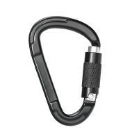 China Factory Wholesale Auto Lock 25kN Aluminum Alloy D-Shape Snap Hook Carabiner for Climbing for sale