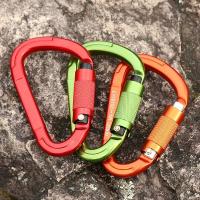 China Factory Wholesale Auto Lock 25kN Aluminum Alloy D-Shape Snap Hook Carabiner for Climbing for sale