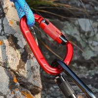 China Factory Wholesale Auto Lock 25kN Aluminum Alloy D-Shape Snap Hook Carabiner for Climbing for sale