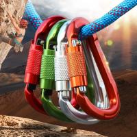 China Factory Wholesale Auto Lock 25kN Aluminum Alloy D-Shape Snap Hook Carabiner for Climbing for sale