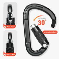 China Factory Wholesale Auto Lock 25kN Aluminum Alloy D-Shape Snap Hook Carabiner for Climbing for sale