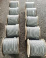 China Heavy-Duty 1x7 7x7 1x19 7x19 PVC Coated Stainless Steel Wire Rope for Construction Cold Heading Steel Bending AiSi Standard for sale