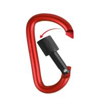 China D-Shaped Climbing Aluminum Carabiner 6kN D Ring Key Rings Clips Locking Carabiner for Camping for sale