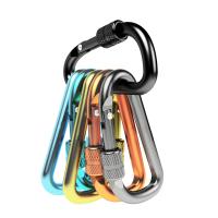China D-Shaped Climbing Aluminum Carabiner 6kN D Ring Key Rings Clips Locking Carabiner for Camping for sale