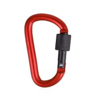 China Multicolored 6kN D-Shaped Aluminum D Ring Key Rings Clips Locking Carabiner for Camping Fishing and Outdoor Use for sale