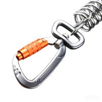 China Auto Locking Carabiner Clips 4kN with Swivel Clasp for Dog Leash, Keychain, Backpack for sale