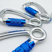 China Auto-Locking Climbing Hardware Twist Lock 23kN Aluminum Carabiner with Captive Eye for sale