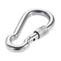 China 304 Stainless Steel Carabiner DIN5299 Spring Snap Hook with Eye and Screw for sale