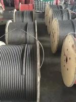 China Carbon Steel 5/16