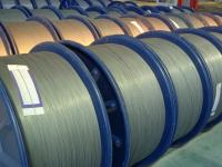 China Carbon Steel 5/16