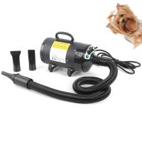 China 2600W Pet Hair Dryer Adjustable Nozzles Safety High Efficiency For Drying for sale