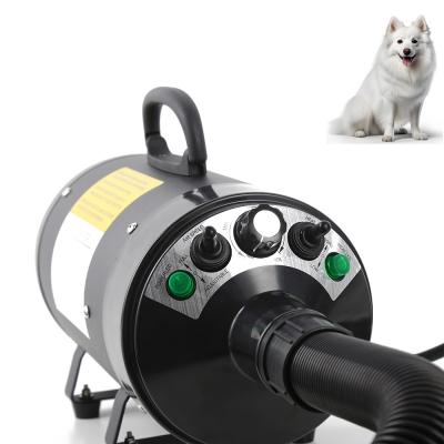 China Professional 110V/220V Dog Blow Dryer with Adjustable Temperature and 4 Nozzles for Pet Hair Care for sale