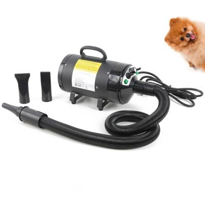 China Single Motor Pet Dryer Luxury Large Dog and Cat Animal Grooming with Wall Mount Stand Dryer Blower for Dogs Cats for sale