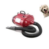 China Double Motor Dog Blow Dryer with 3 Nozzles and 110V/220V Voltage for Efficient Pet Grooming for sale