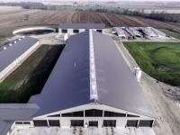 China Corrosion Free Steel Frame Farm Building Metal Warehouse Construction CE Approved for sale
