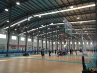 China Customized Design Steel Structure Stadium Rapidly Install Prefabricated Sports Building for sale