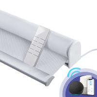 China Wifi Electric Smart Motorized Zebra Blinds Window Shade Automatic Roller Remote for sale