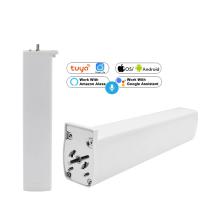 China Home Control Built In Tuya Smart Curtain Motor 28rpm Speed for sale