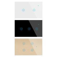 China Dimmable 2A WiFi RF Smart Switch 2gang Smart Light Switch Panel for sale