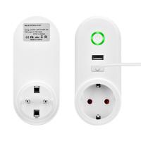 China Tuya 10A WIFI Smart Plug Socket 30M Wifi Controlled Power Outlet for sale