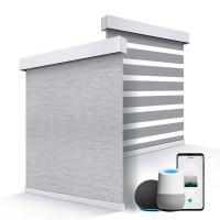China 20cm Electric Roller Blinds Alexa Smart CE for sale