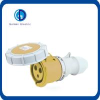 China 16A 32A 63A 125A Industrial Socket Plug with Cover Socket IP 67 Type Male and Female for sale