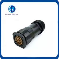 China Multipin Electrical Plug Socket Connectors Safety Operation IP44 Panel Mounted Socket for sale