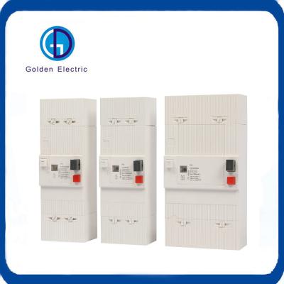 China 2p 4p Pg Series RCCB ELCB Earth Leakage Circuit Breaker with High Breaking Capacity for sale