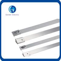 China 8-175kgs Tensile Strength Metal Cable Straps Stainless Steel Wire Ties with Locking Teeth for sale