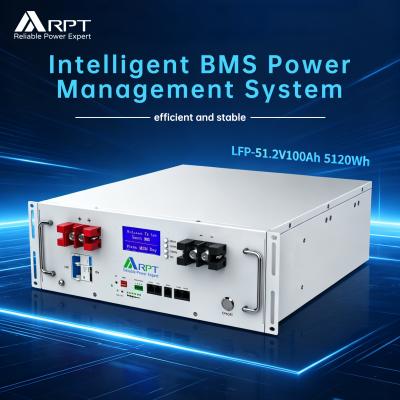 China RPT 51.2V 100Ah LiFePO4 Rack Battery with 6000 Cycles Smart BMS and 19-inch Rack Design for Solar Backup for sale