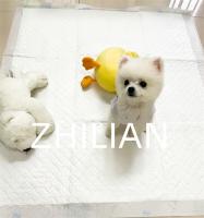 China 200 M/Min 350 M/Min Disposable Pet Pad Machine Automative for sale