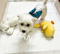 China 350mm 900mm Length Pet Pad Machine 170 m/min for sale